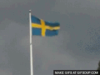 Swedish GIFs - Get the best gif on GIFER