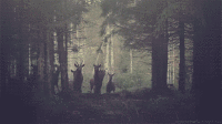 Emerging GIFs - Get the best gif on GIFER