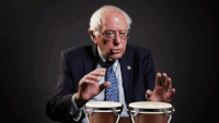 Bongo GIFs - Get the best gif on GIFER