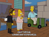 Indignant GIFs - Get the best gif on GIFER