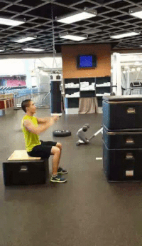 Categories GIFs - Get the best gif on GIFER