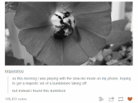 Clumsy GIFs - Get the best gif on GIFER