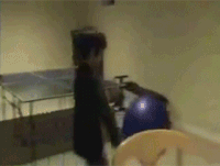 Bonk GIFs - Get the best gif on GIFER