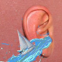 Ear GIFs - Get the best gif on GIFER