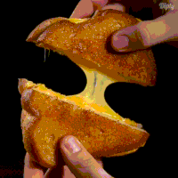 Reverse GIFs - Get the best gif on GIFER