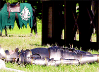 Deployment GIFs - Get the best gif on GIFER