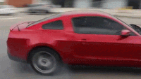 Mustang GIFs - Get the best gif on GIFER