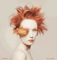 Elegance GIFs - Get the best gif on GIFER