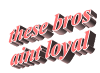 These bros aint loyal GIFs - Obtenez le meilleur gif sur GIFER