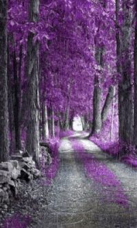 Springs GIFs - Get the best gif on GIFER