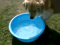 Cooling GIFs - Get the best gif on GIFER