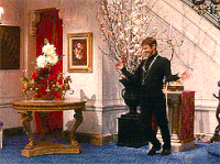 Prance GIFs - Get the best gif on GIFER