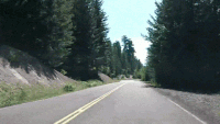 Driving GIFs - Get the best gif on GIFER