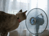 Potty GIFs - Get the best gif on GIFER