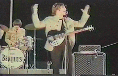 Heebee jeebees GIF - Conseguir o melhor gif em GIFER