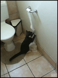 Wiping GIFs - Get the best gif on GIFER