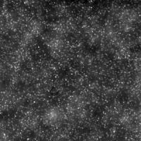 Microscopy GIFs - Get the best gif on GIFER