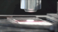 Microscope GIFs - Get the best gif on GIFER