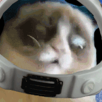 Харэ GIFs - Get the best gif on GIFER