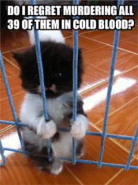 Shero GIFs - Get the best gif on GIFER