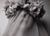 Veil GIFs - Get the best gif on GIFER