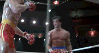 Rocky GIFs - Get the best gif on GIFER