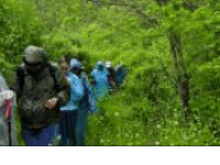 Hiking GIFs - Get the best gif on GIFER