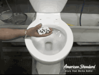 Flush GIFs - Get the best gif on GIFER