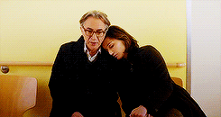 Avant lhiver GIF - Conseguir o melhor gif em GIFER