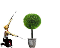 Bushes GIFs - Get the best gif on GIFER