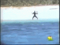 Islands GIFs - Get the best gif on GIFER