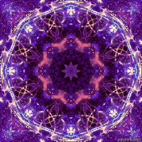 Dmt GIFs - Get the best gif on GIFER