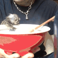 Delivering GIFs - Get the best gif on GIFER