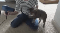 Dryers GIFs - Get the best gif on GIFER