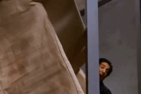 Pivot GIFs - Get the best gif on GIFER