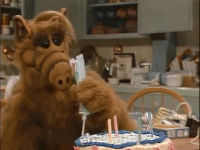 Alf GIFs - Get the best gif on GIFER