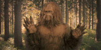 Bigfoot GIFs - Get the best gif on GIFER