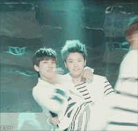Nb GIFs - Get the best gif on GIFER
