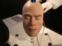 Animatronics GIFs - Get the best gif on GIFER