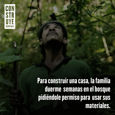 Construyeidentidad GIF - Conseguir o melhor gif em GIFER