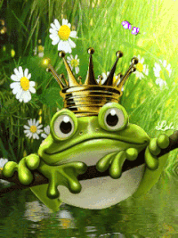 Frog GIFs - Get the best gif on GIFER