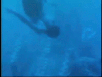 Submarines GIFs - Get the best gif on GIFER