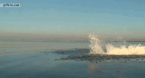 Conquering GIFs - Get the best gif on GIFER