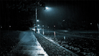 Rainfall GIFs - Get the best gif on GIFER
