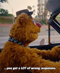 10k GIFs - Get the best gif on GIFER