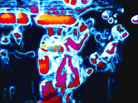 Raro GIF - Conseguir el mejor gif en GIFER