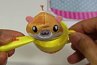 Whee GIFs - Get the best gif on GIFER