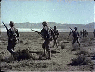 Vietnam GIFs - Get the best gif on GIFER