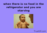 Starving GIFs - Get the best gif on GIFER