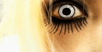 Eyelashes GIFs - Get the best gif on GIFER